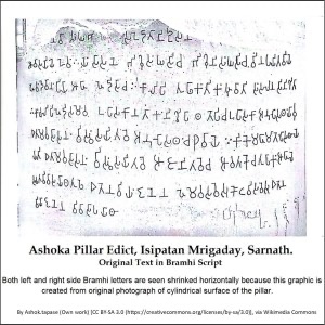 Indologist and Polymath - History Cafe